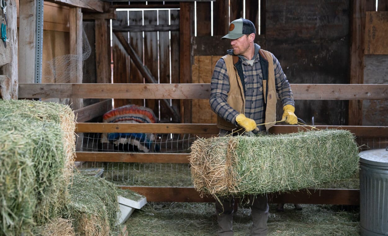 Social Media Management - Bild Brands